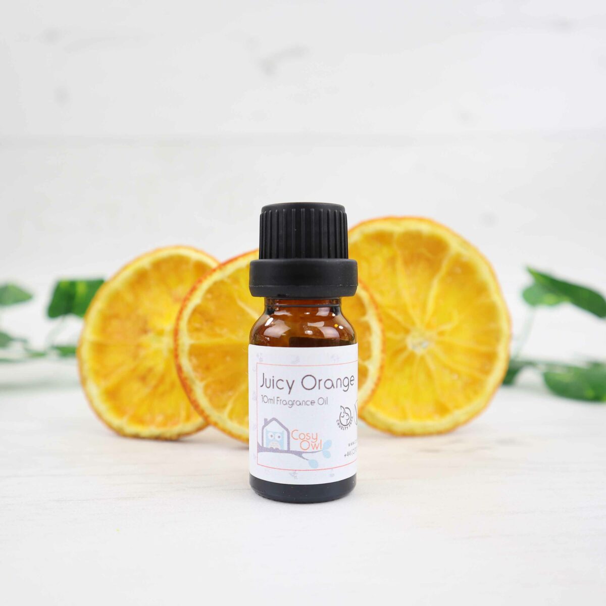 Juicy Orange Fragrance Oil - Cosy Owl