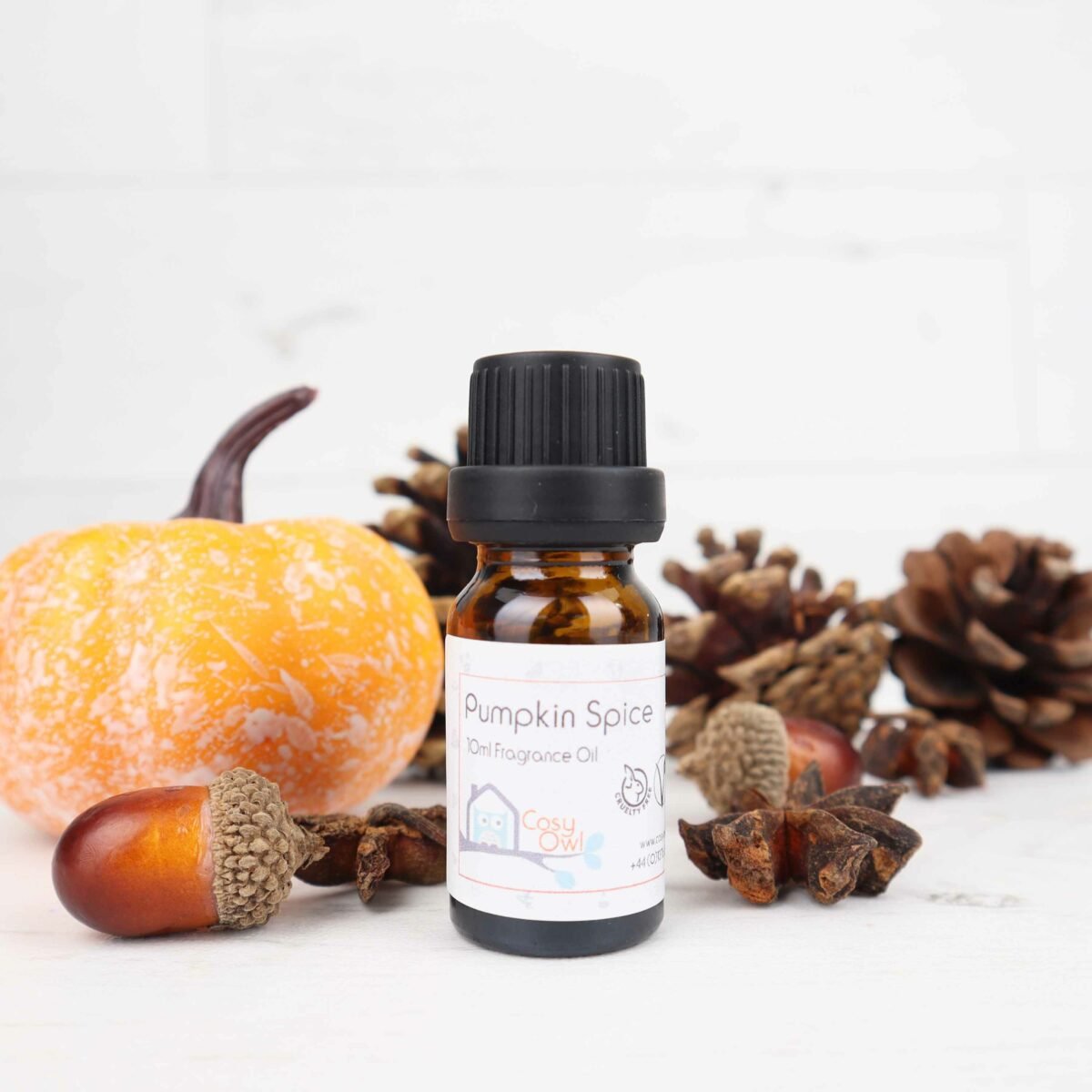 Pumpkin Spice Fragrance Oil | Cosy Owl | The Home of Candle Making Supplies