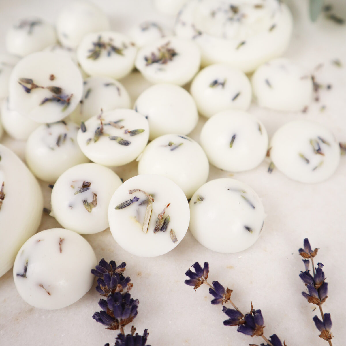 Wax Melt Round Mould - 24 - Cosy Owl